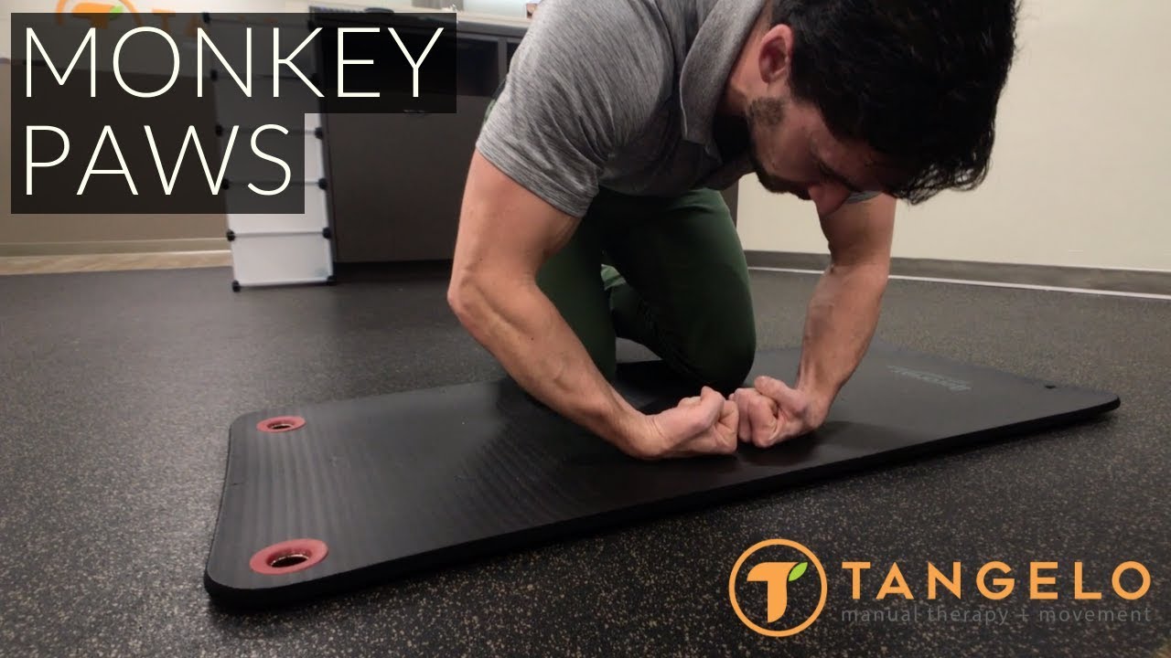 Monkey Paws Exercise - Tangelo Health - YouTube