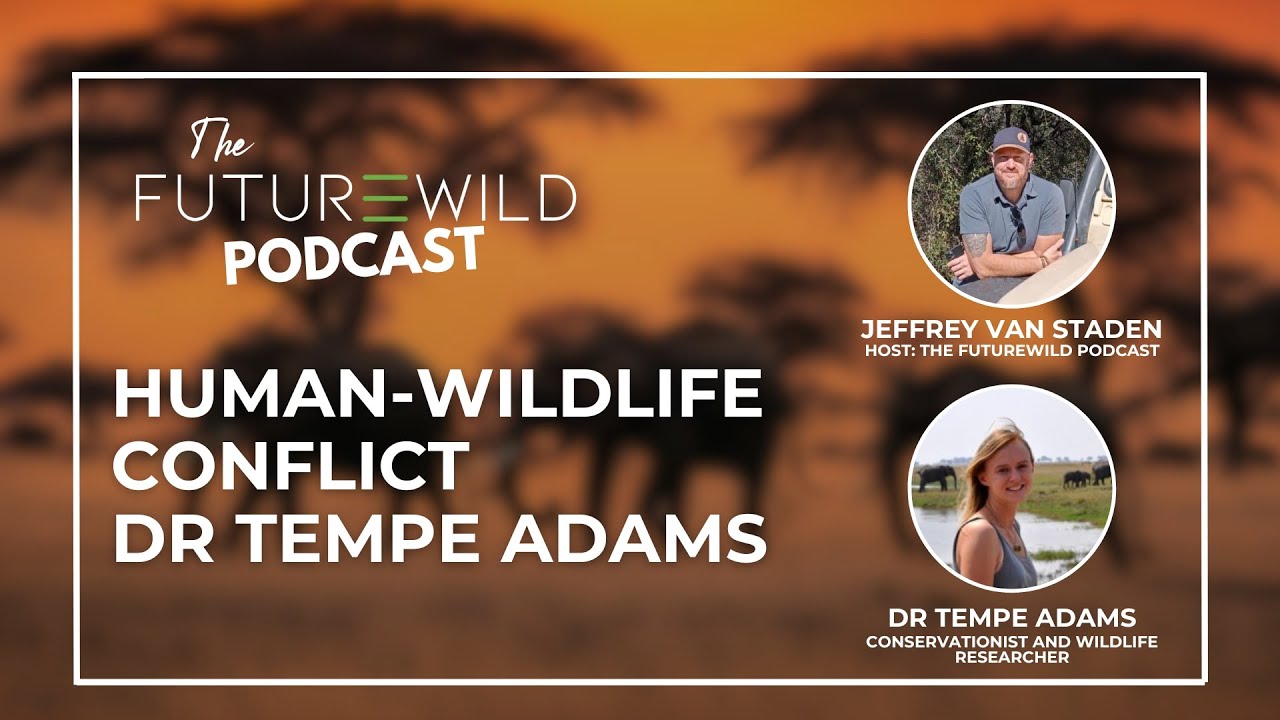 FutureWild - Dr. Tempe Adams - Human/wildlife conflict - Full Episode ...