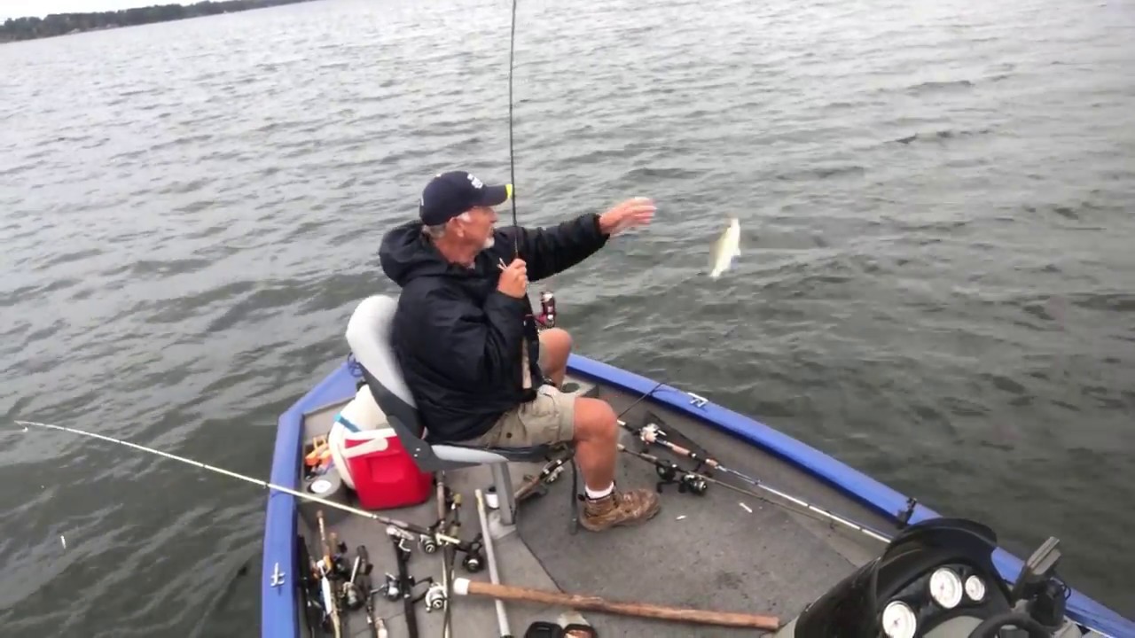 Using Live Shiners To Catch White Perch - YouTube