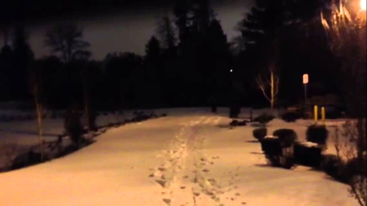 Snow Shenanigans! Snowpocalypse Portland 2014 - YouTube