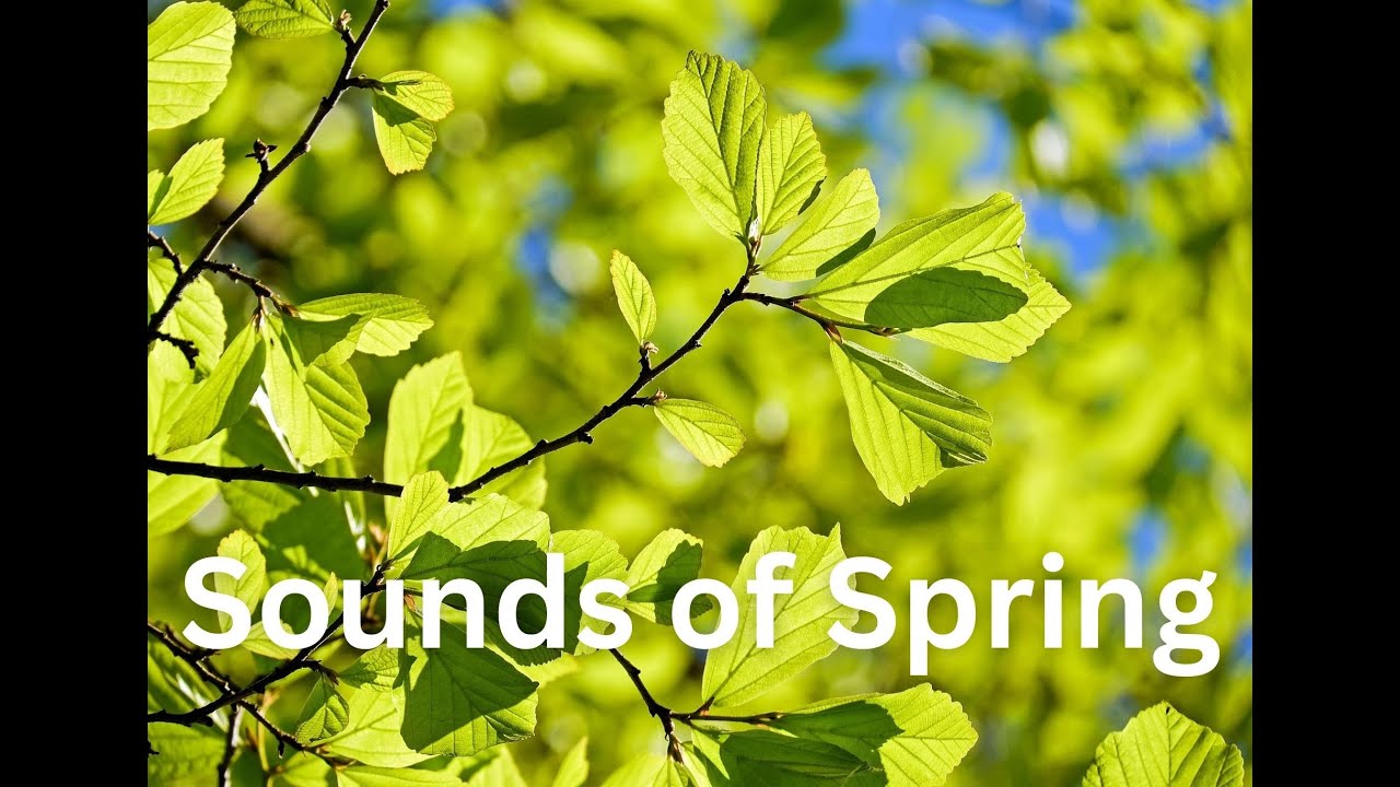 The Coming of Spring: Blooming Season - YouTube