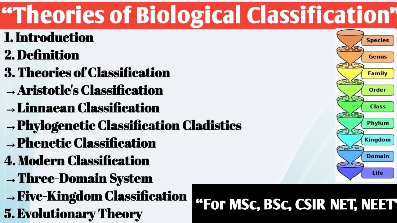 Theories of Biological Classification | Taxonomy - YouTube