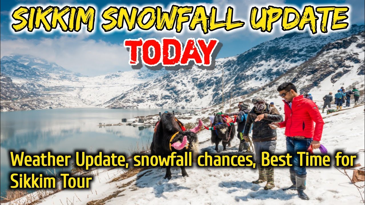 Sikkim, Gangtok Snowfall Update || Latest update of snowfall in north ...