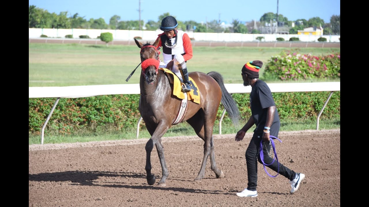 Impressive Debut Win For Princess Sharon - YouTube