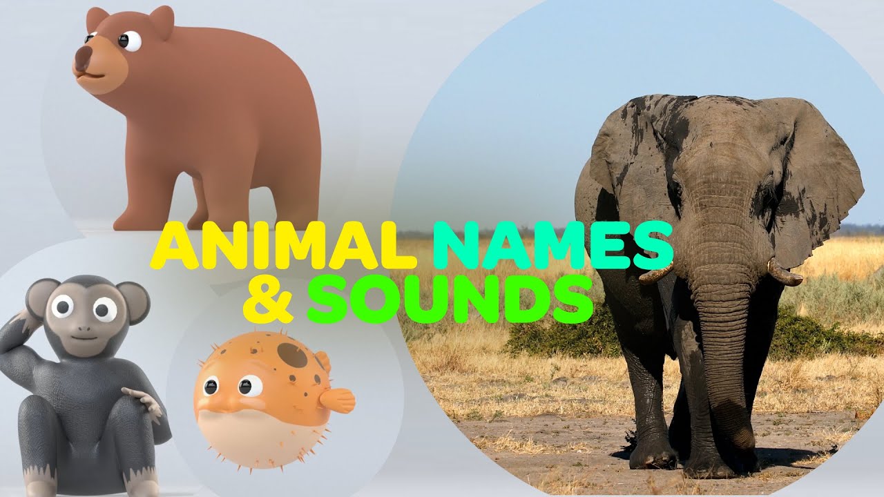 Animal names and sounds for kids | Animal Names for children and ...