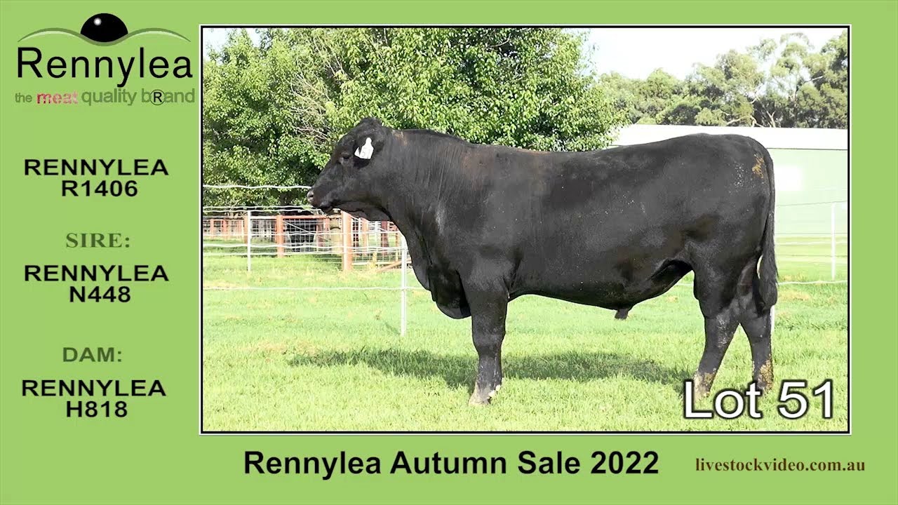 Lot 51 Rennylea March 2022 Sale - YouTube
