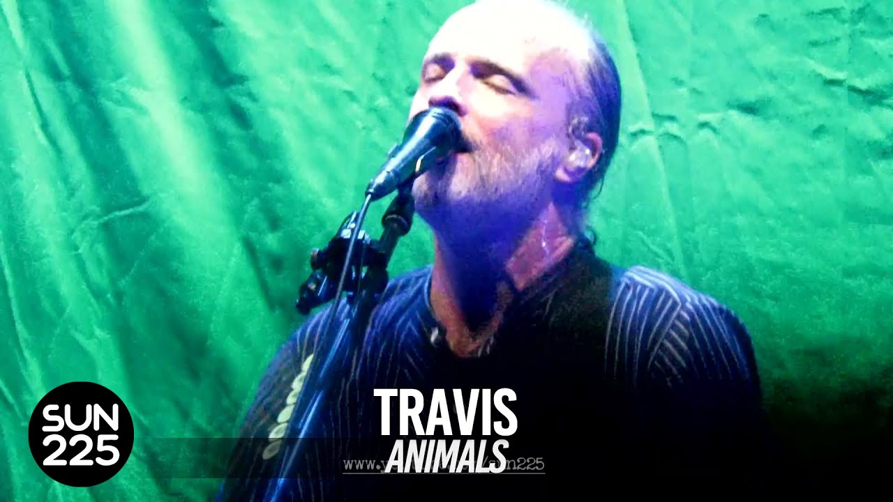 Travis - Animals @ Jisan Valley Rock Festival 2016 - YouTube