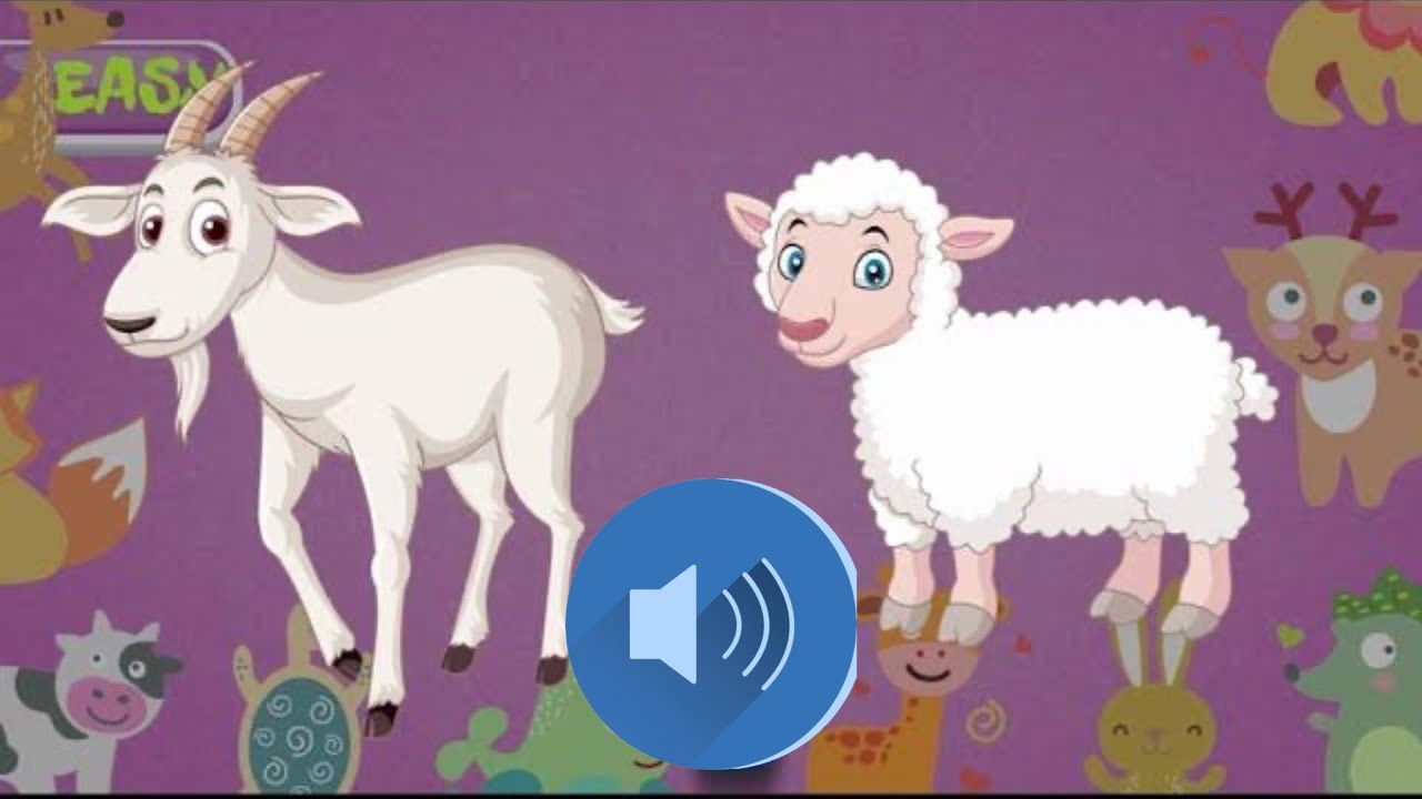 Guess the Animal Sounds Game | Animal Sound Quiz for Kids - YouTube