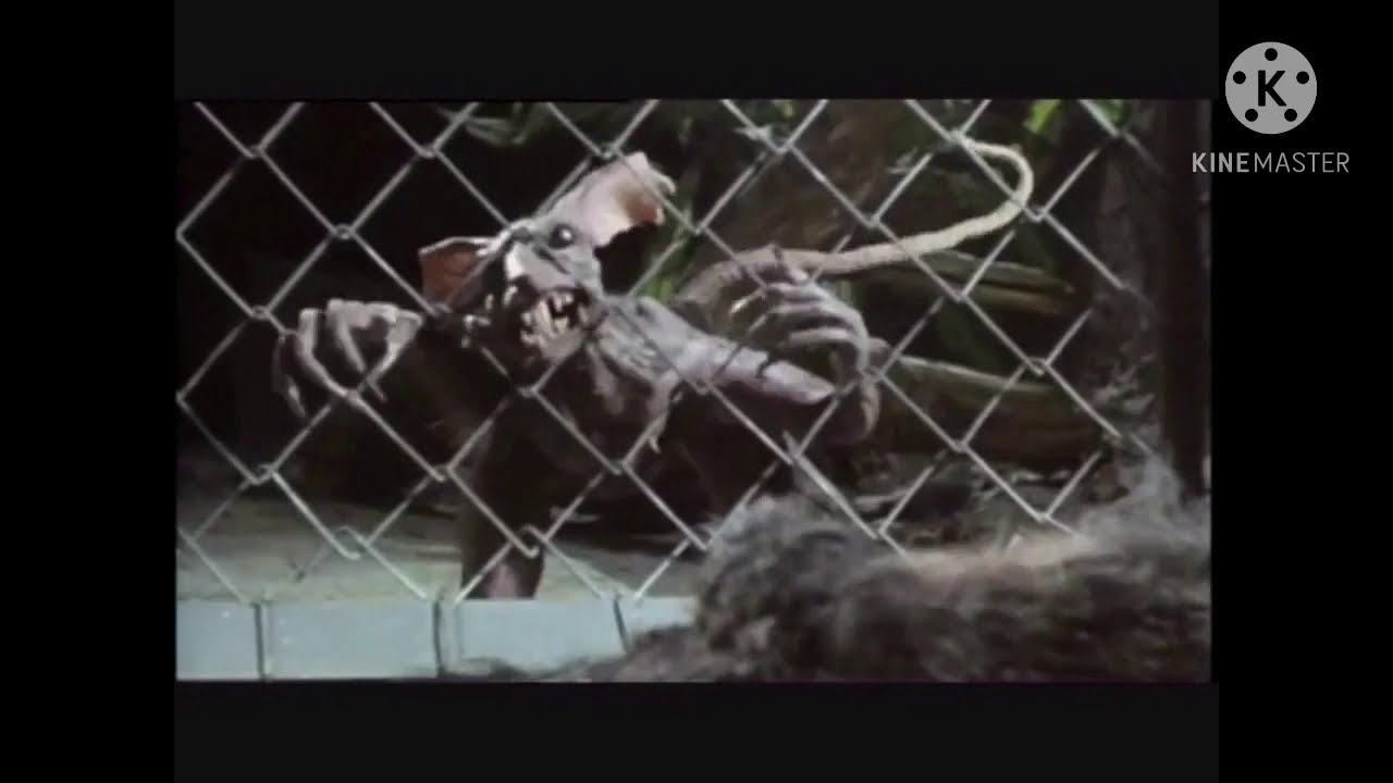 The rat monkey form briandead - YouTube