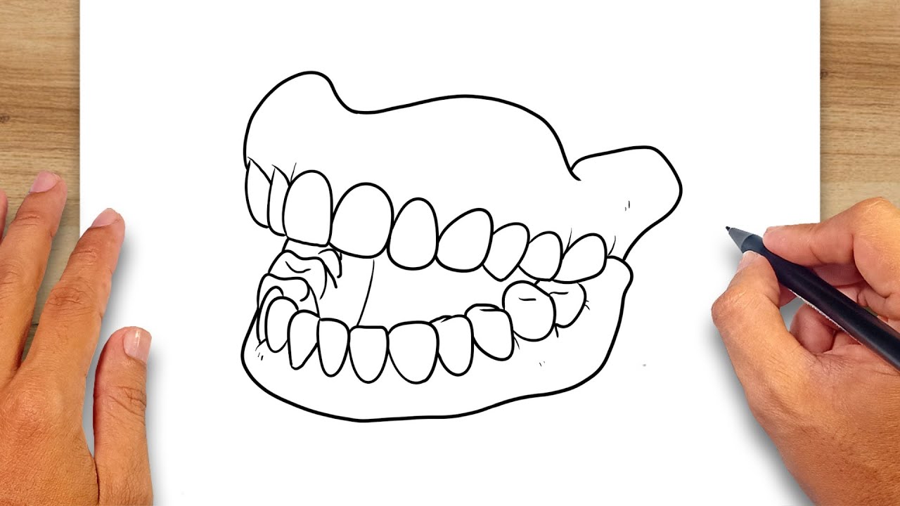 How to draw Fake Teeth - Body Parts Drawing - YouTube