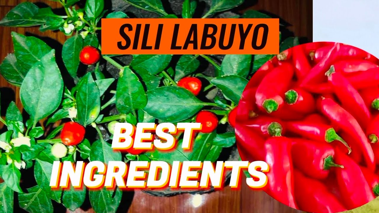 Best Ingredients in your vian🤗 Taste super delicious|Sili in bisaya😊 ...