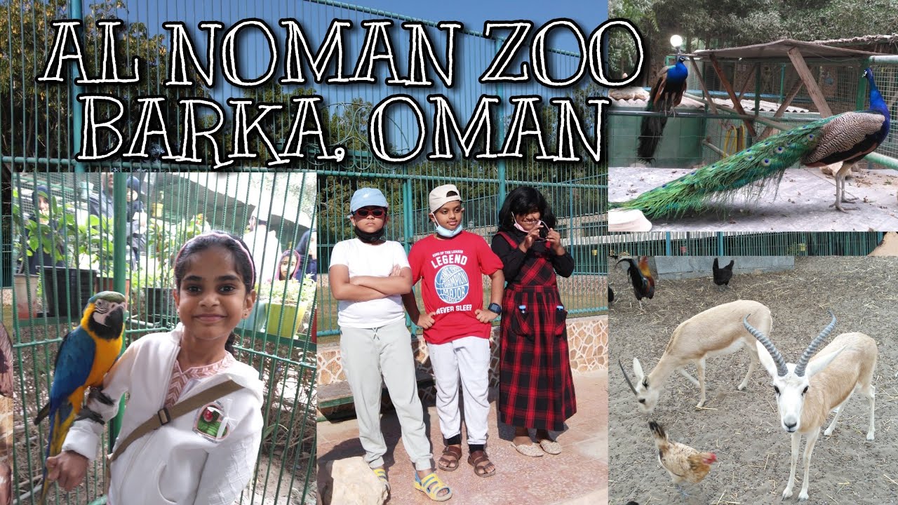 Noman Park | Barka Zoo | Al Noman Zoo | Oman Zoo | Best place for Kids ...