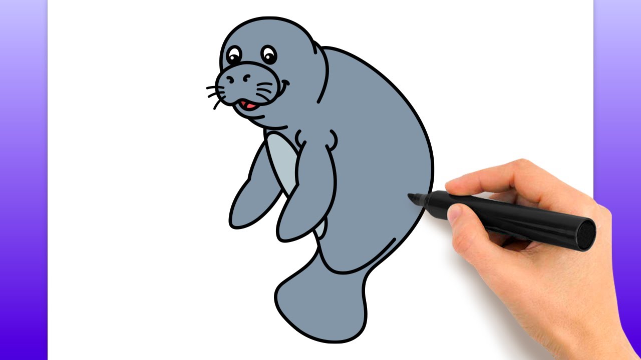 Cómo Dibujar Un Manatí (Tutorial De Dibujo Fácil) - YouTube