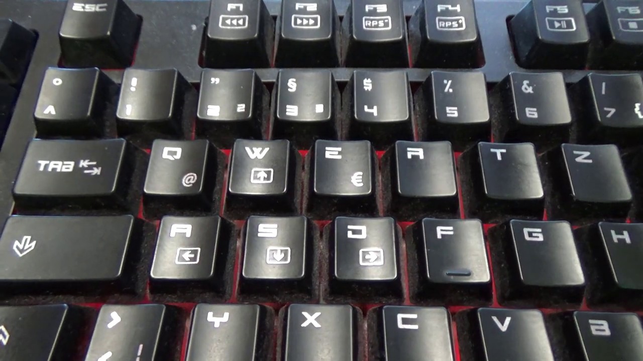 HOW TO PRESS W ON THE KEYBOARD | 01 - YouTube