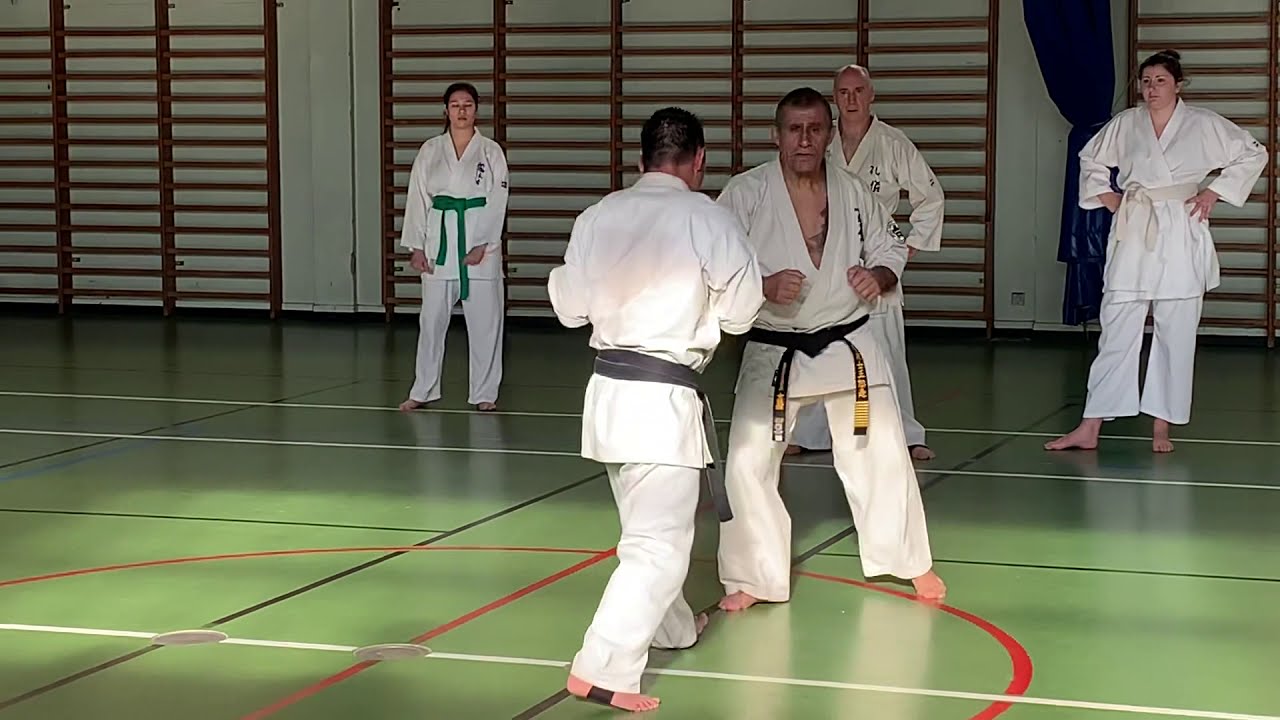 Shidokan Karate do - Pays de Savoie "Club Ejmc Chambéry" - YouTube