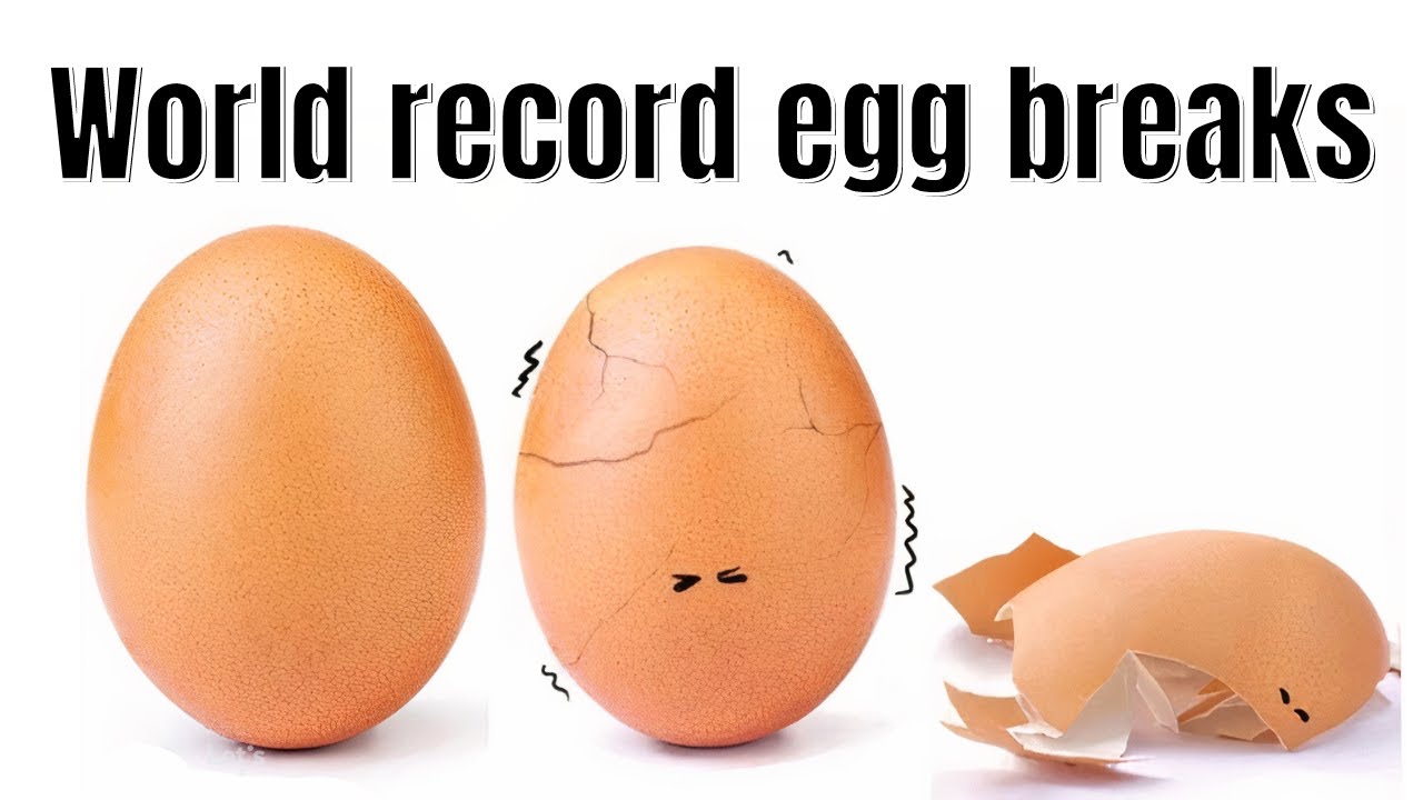 World record egg world record breaks by world record - YouTube