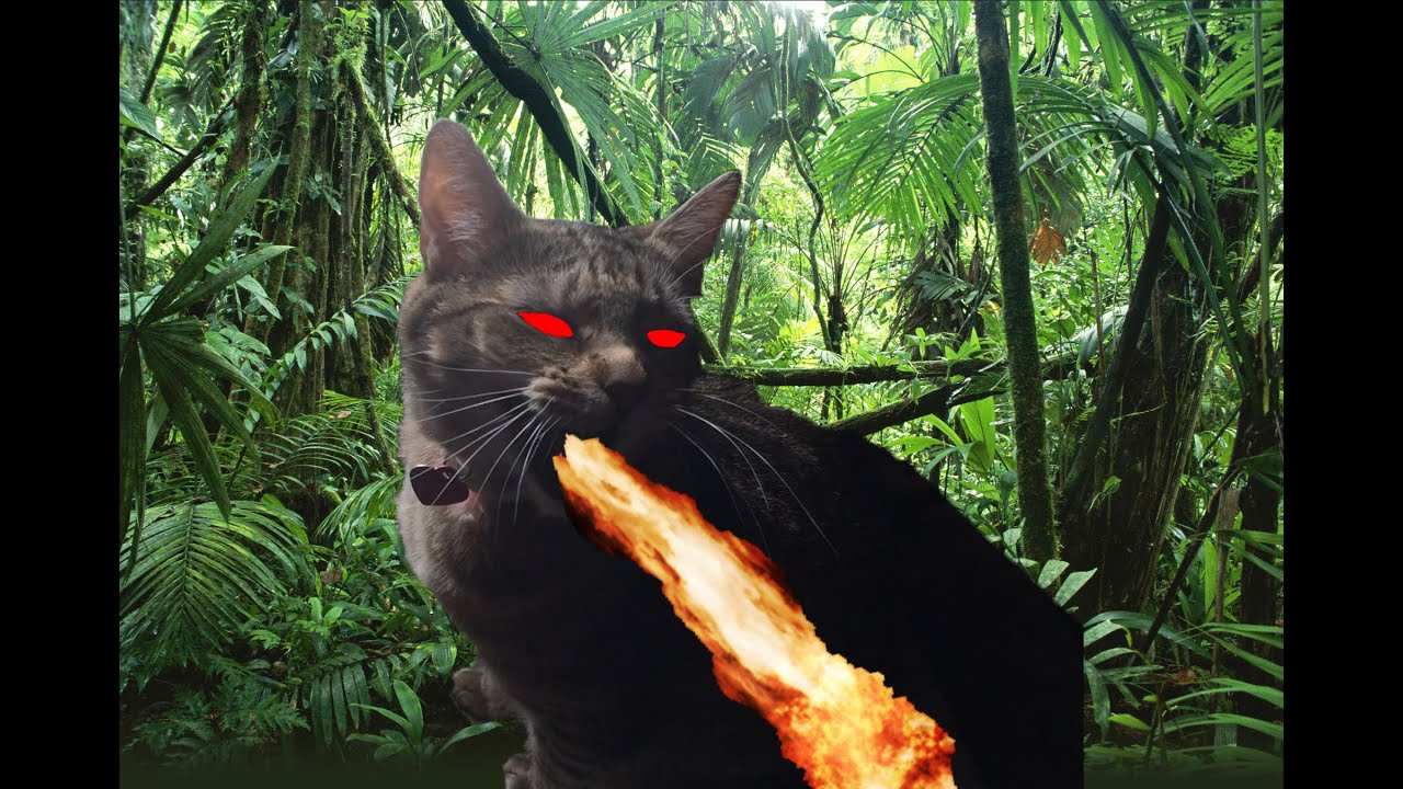 Catosaurus (Bonus!) - YouTube