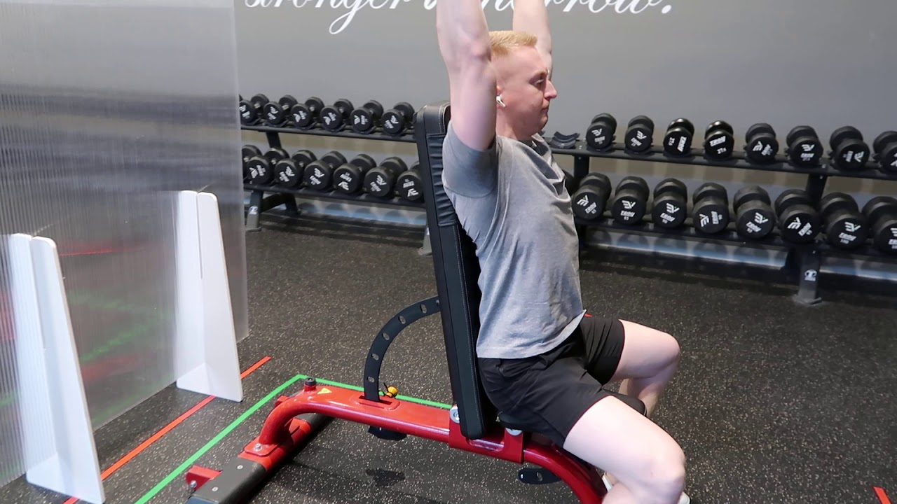 Seated Dumbbell Shoulder Press - Bilateral - YouTube