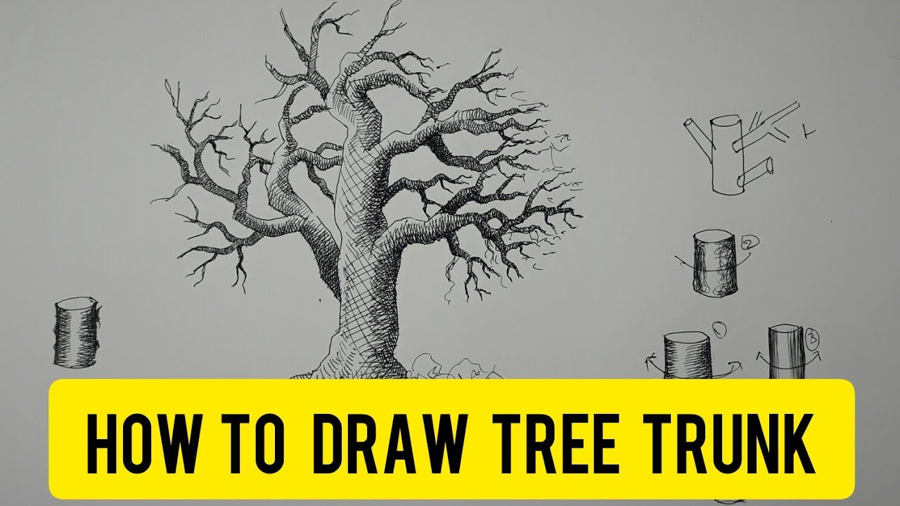 how to draw tree trunk // pen hatching tutorial - YouTube