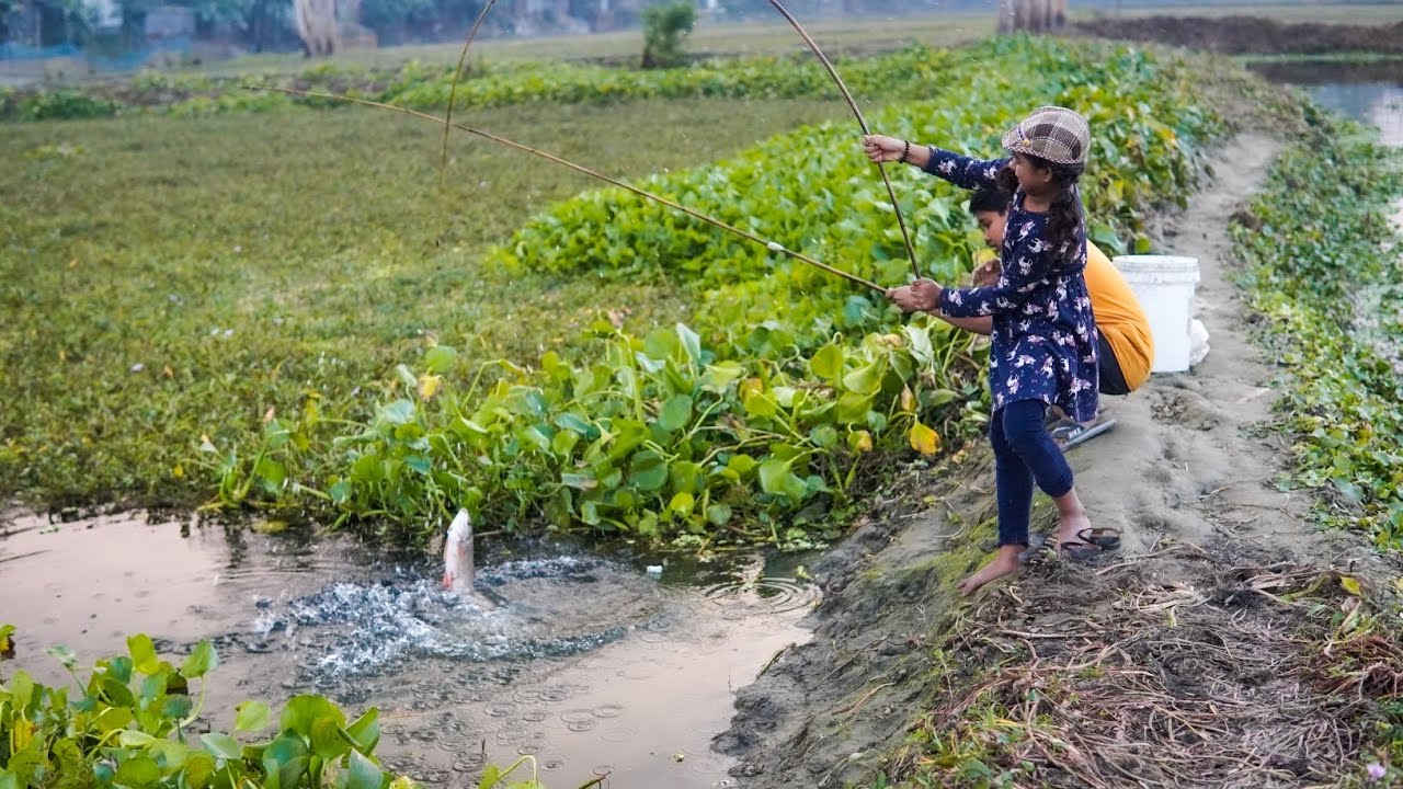 Carp Fishing Competitions 2024 | Fishing Videos_Village boys and girls ...