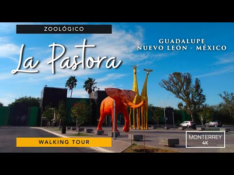 [ 4K ] Parque La Pastora Zoo Guadalupe N.L. México - Walking tour ...