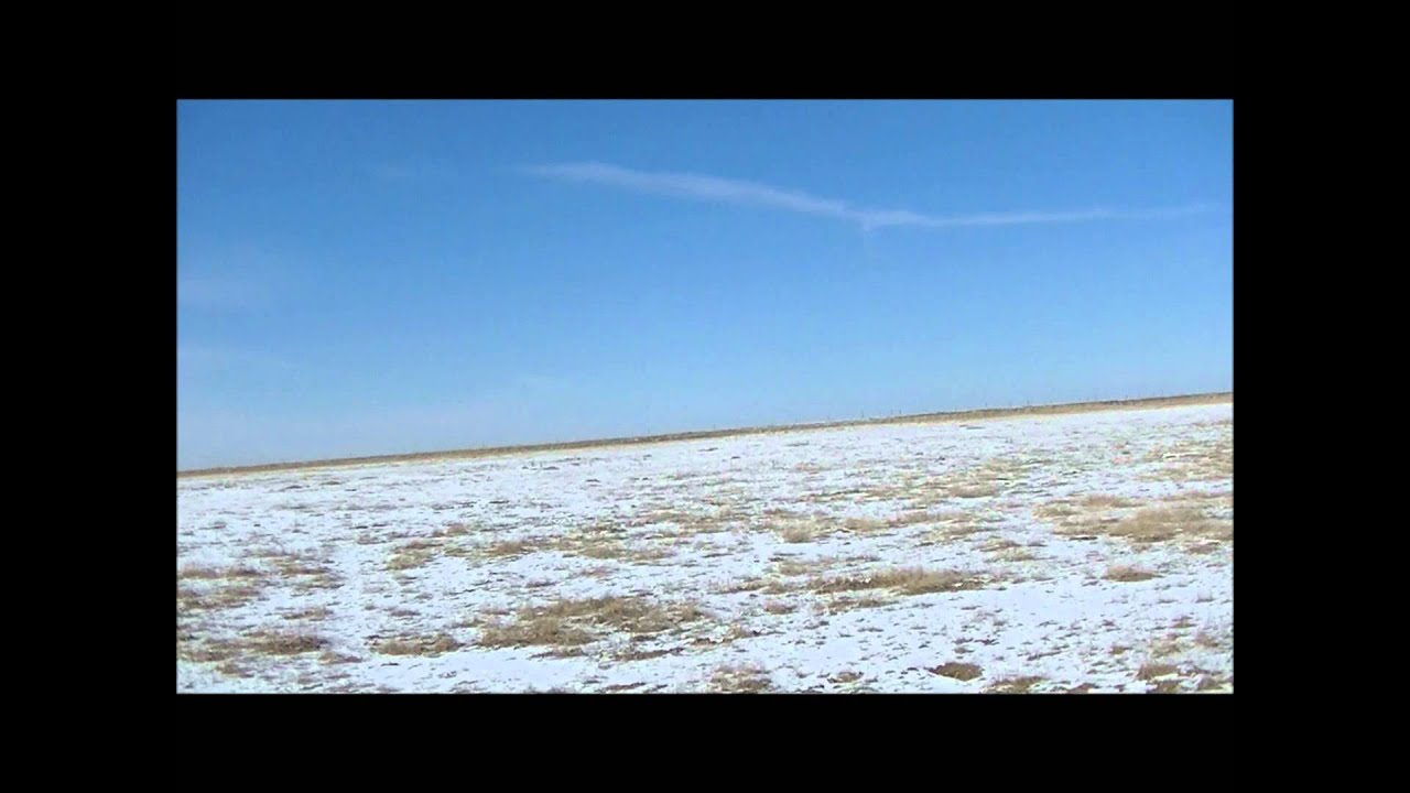 Gopher scout - YouTube