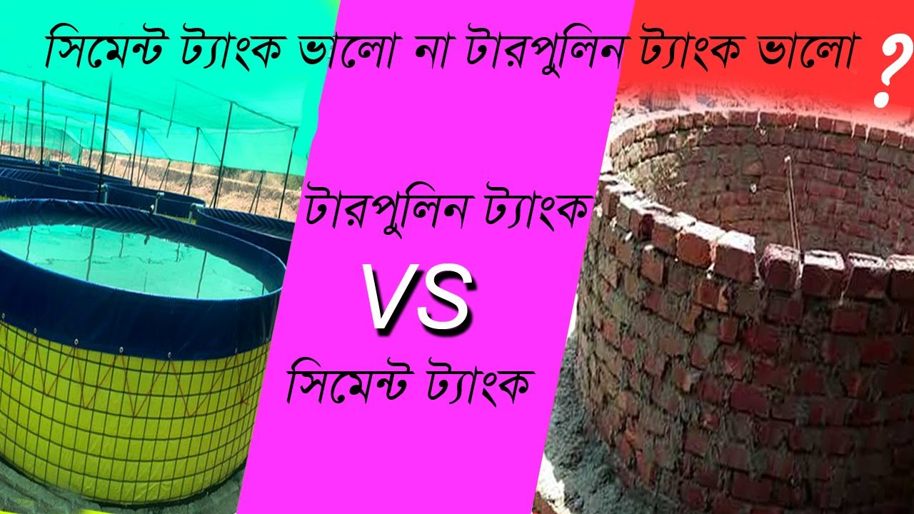 biofloc tank | biofloc | বায়োফ্লক ট্যাংক | cement tank | tarpaulin ...