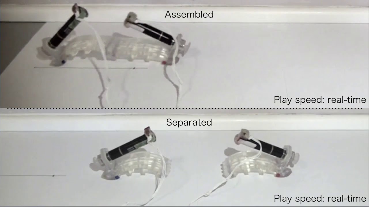 Autonomous decentralized control for soft-bodied caterpillar-like ...