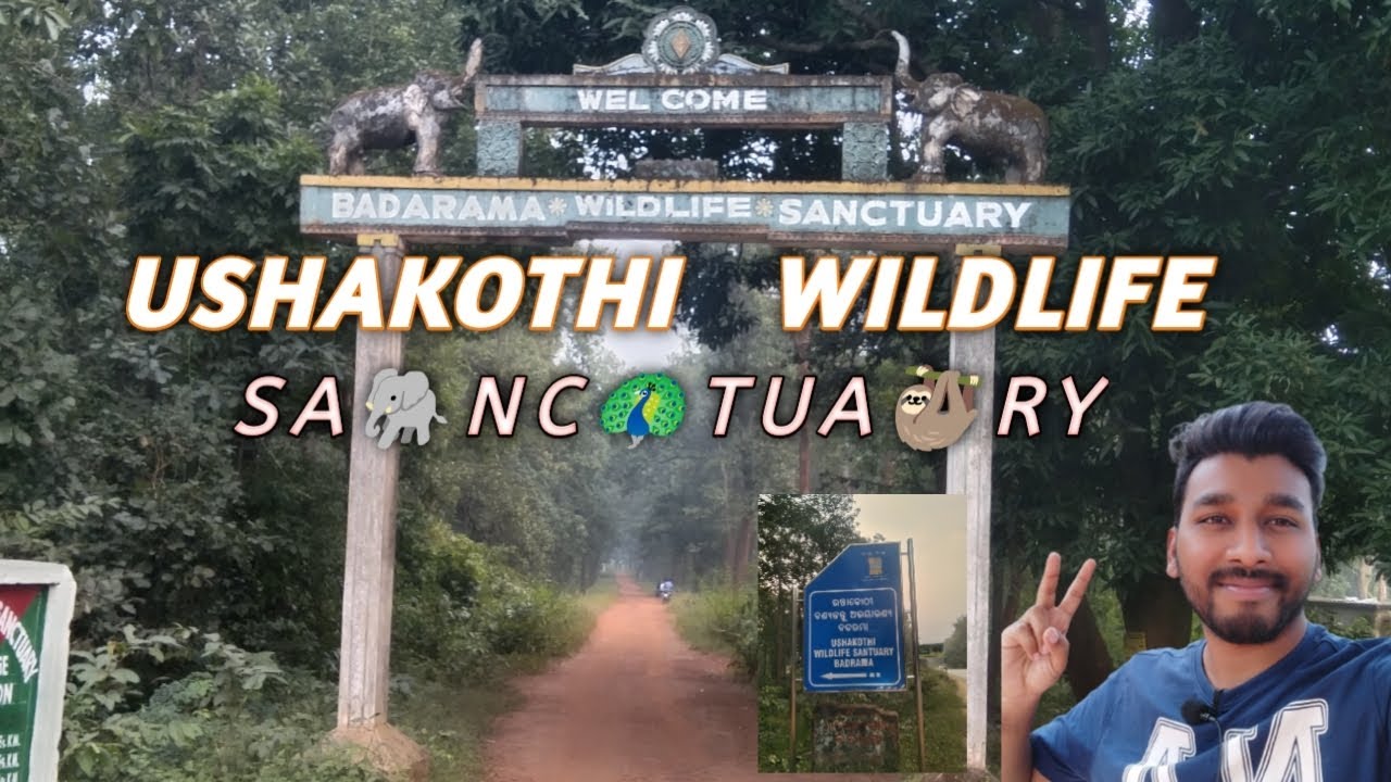 Welcome To Ushakothi Wildlife Sanctuary// Sambalpur//ଉଷା କୋଠୀ ...