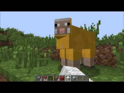 Minecraft- Gold Sheep - YouTube