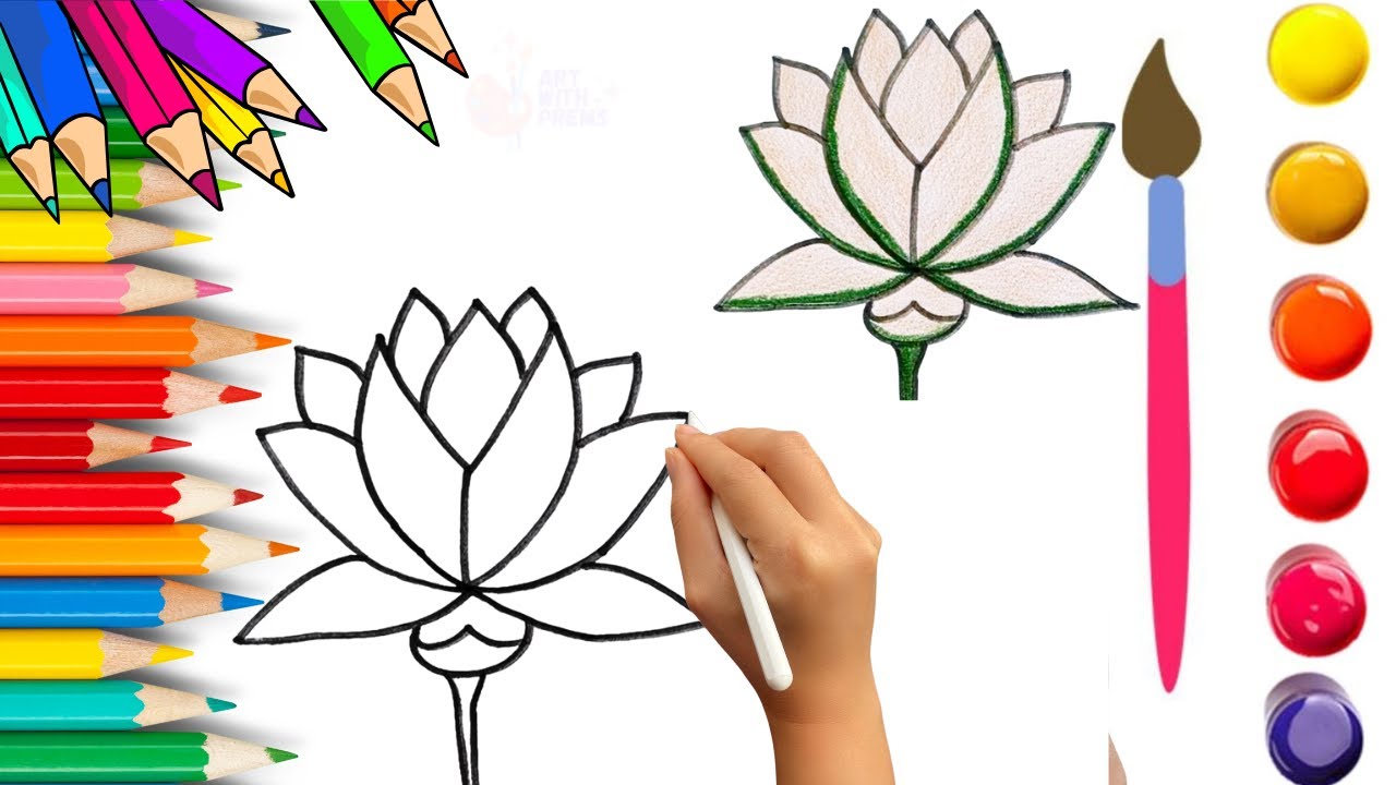 How To Draw cute Lotus Flower Drawing, Painting & Coloring For Kids and ...
