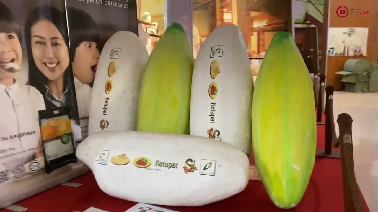 Vlogs @ Muzium Padi, Kedah - YouTube