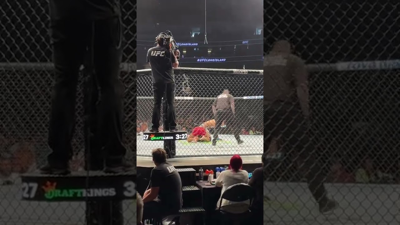 Matt Schnell vs Sumudaerji CRAZY UFC FIGHT Cage Side Live - YouTube