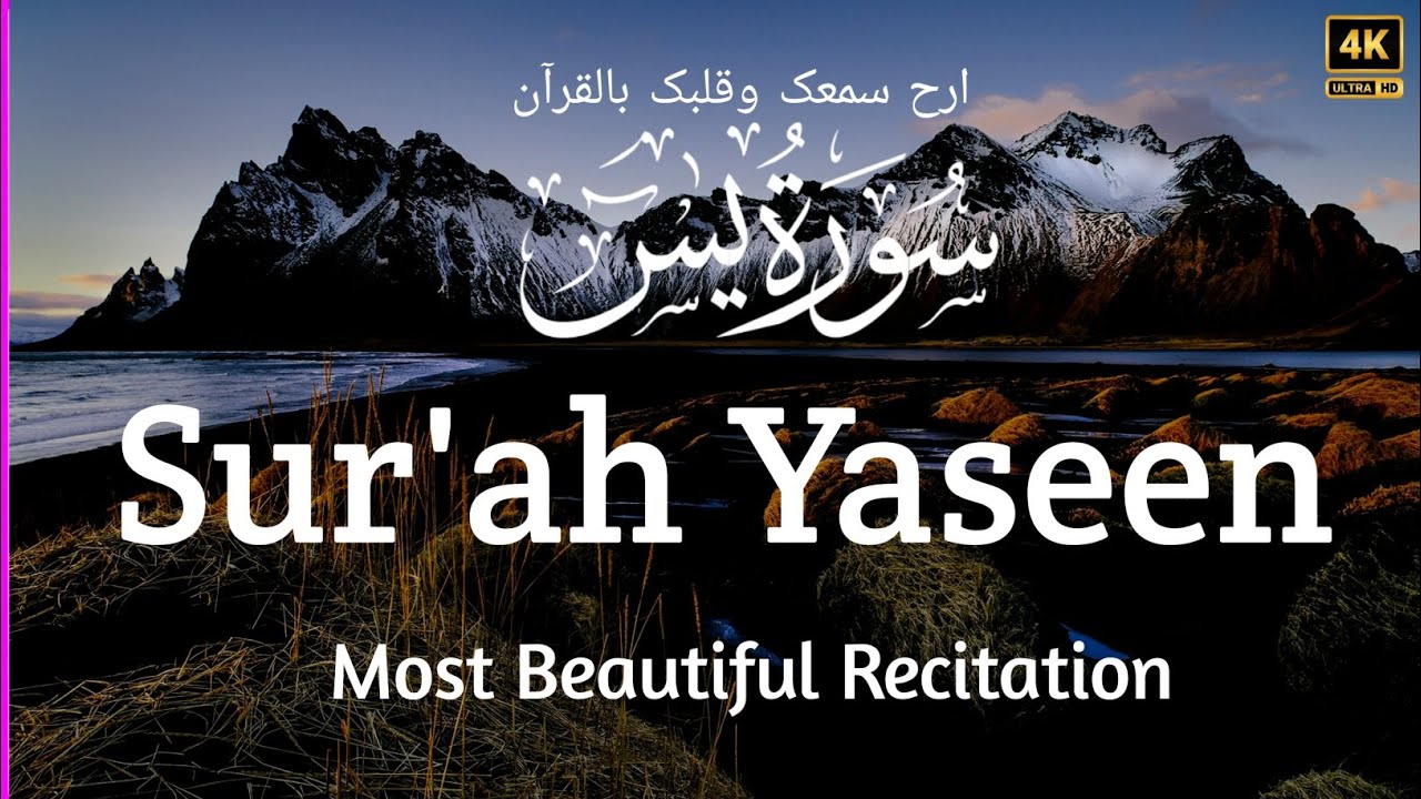 Surah Yaseen Full With English Translation Surat Yasin Most beautiful ...
