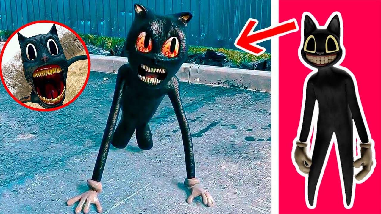 5 CARTOON CAT EXE Captados y Vistos en la Vida Real - YouTube