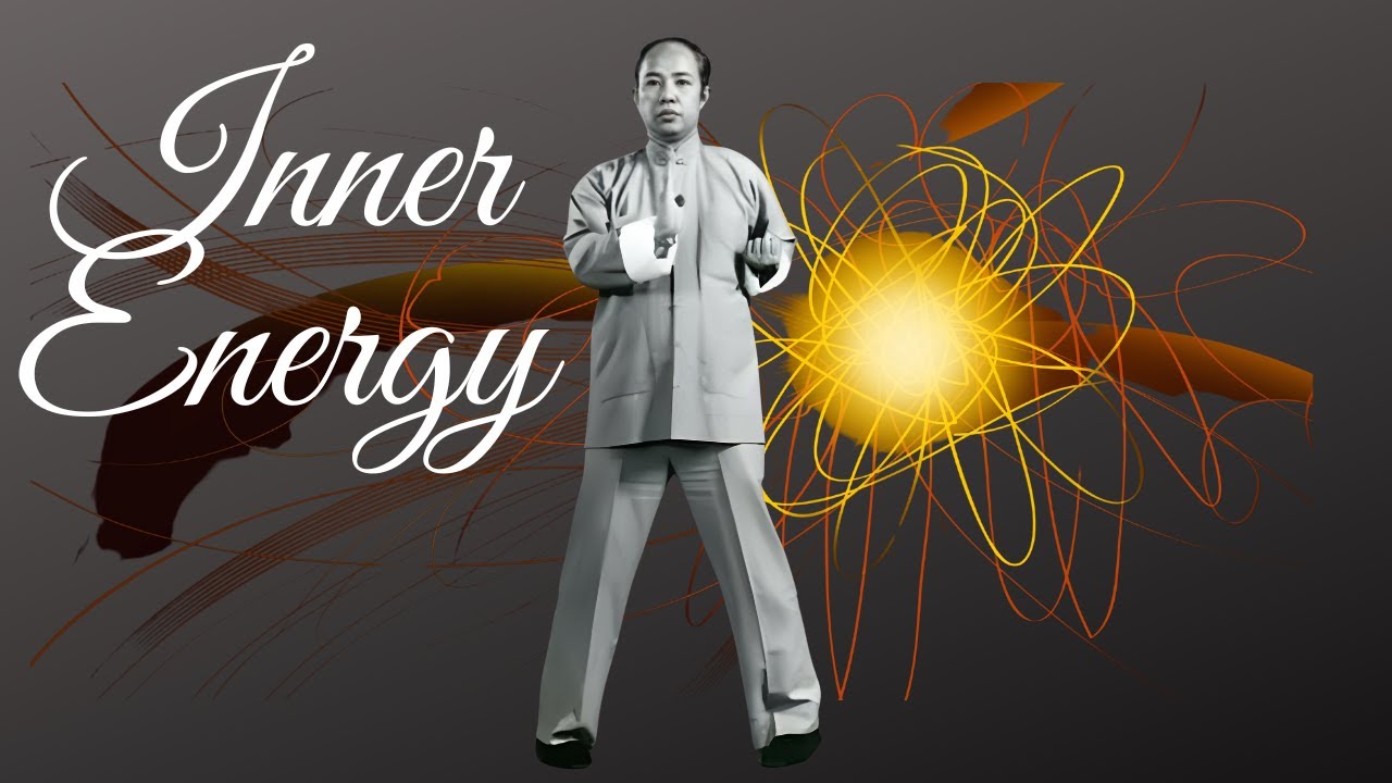 Video - Inner Energy - Wing Chun Kung Fu Brasilia - DF #artesmarciais # ...