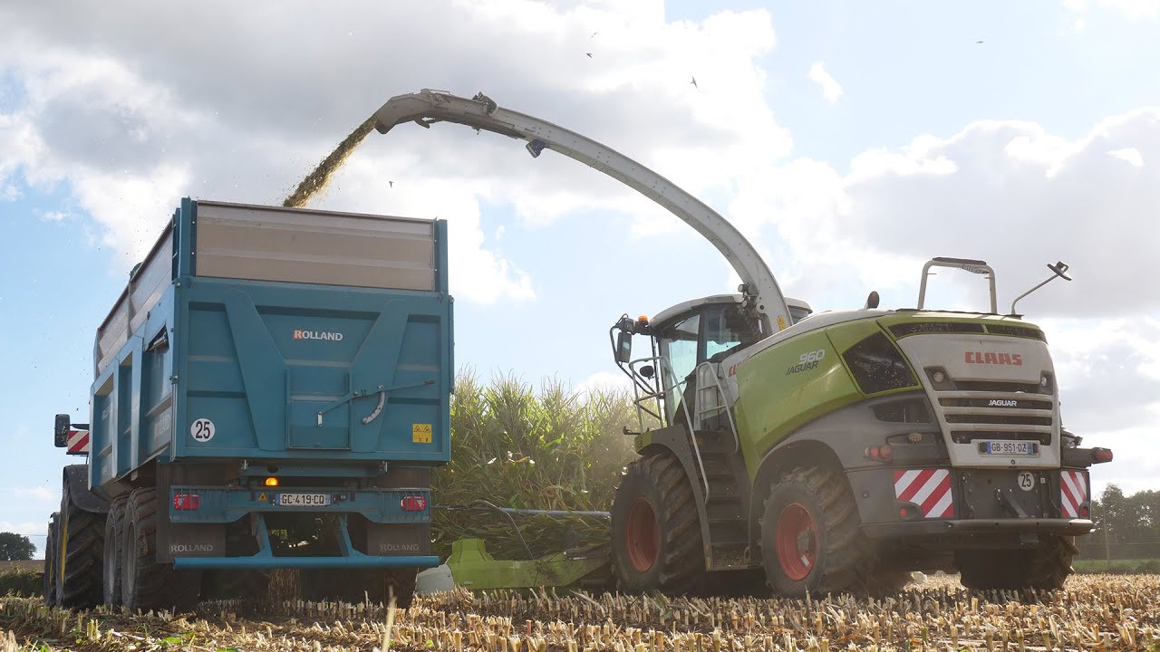 ENSILAGE 2022 | X2 CLAAS JAGUAR | ETA COZANNET - YouTube