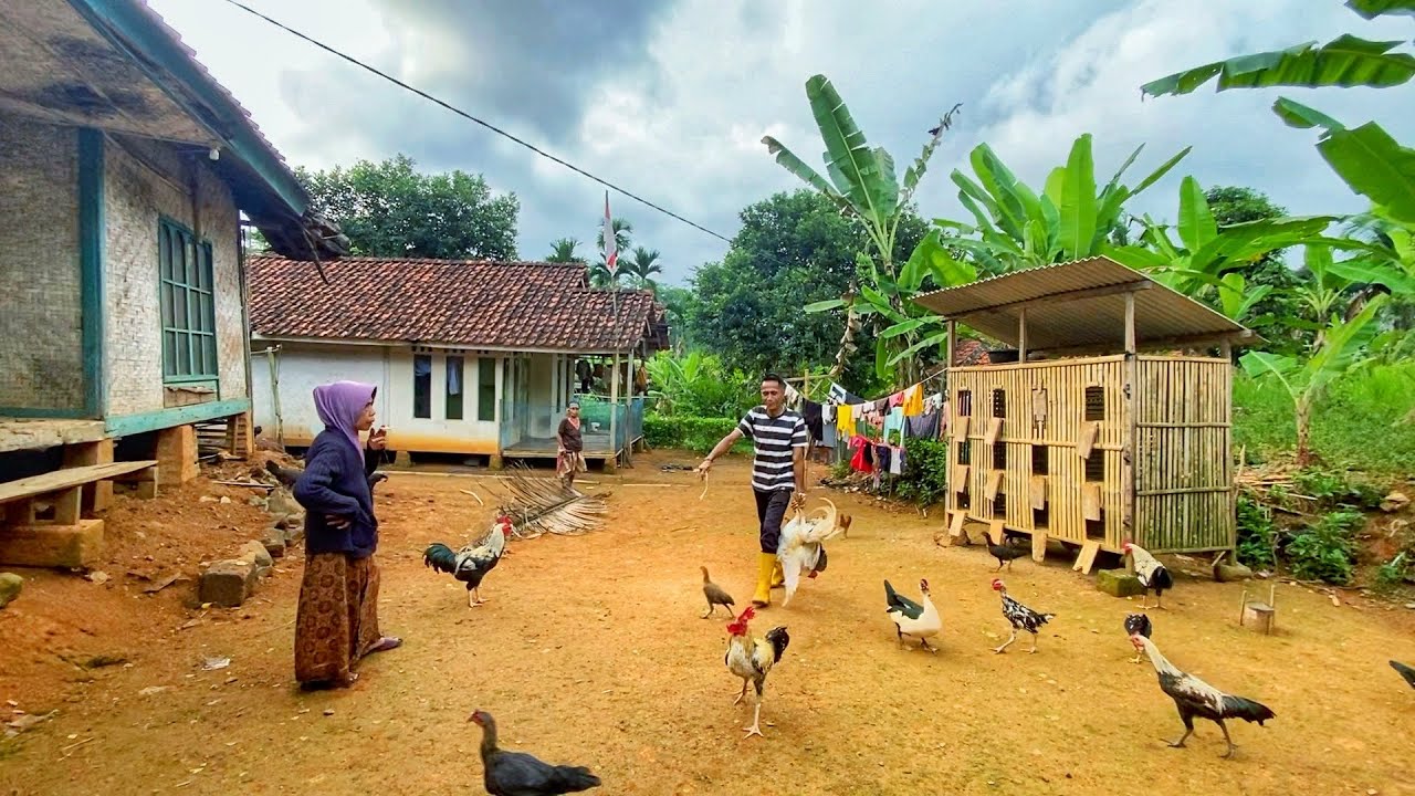 SUASANA SORE YANG TENANG, SEBELUM TURUN HUJAN DI KAMPUNG NAMBAH BETAH ...