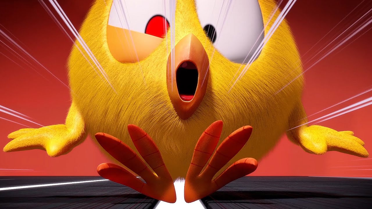 The Race | Where's Chicky? | Cartoon Collection in English for Kids ...