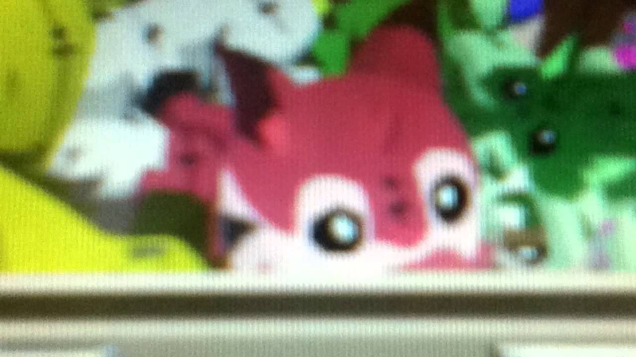 New Leaked Plushies In Claw Machines? Animal Jam - 2015 - YouTube