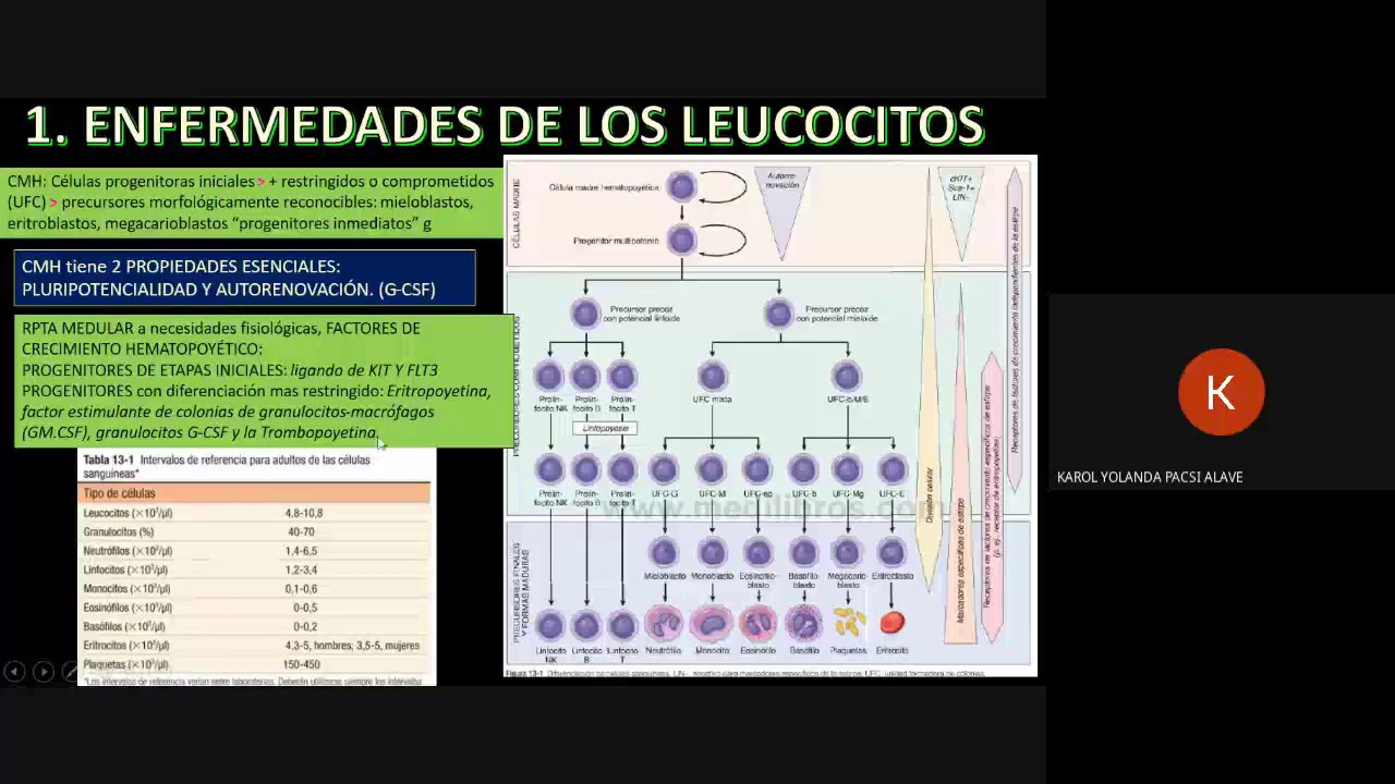 Grupo 9. Enfermedades de los leucocitos, ganglios linfáticos, bazo y timo - YouTube