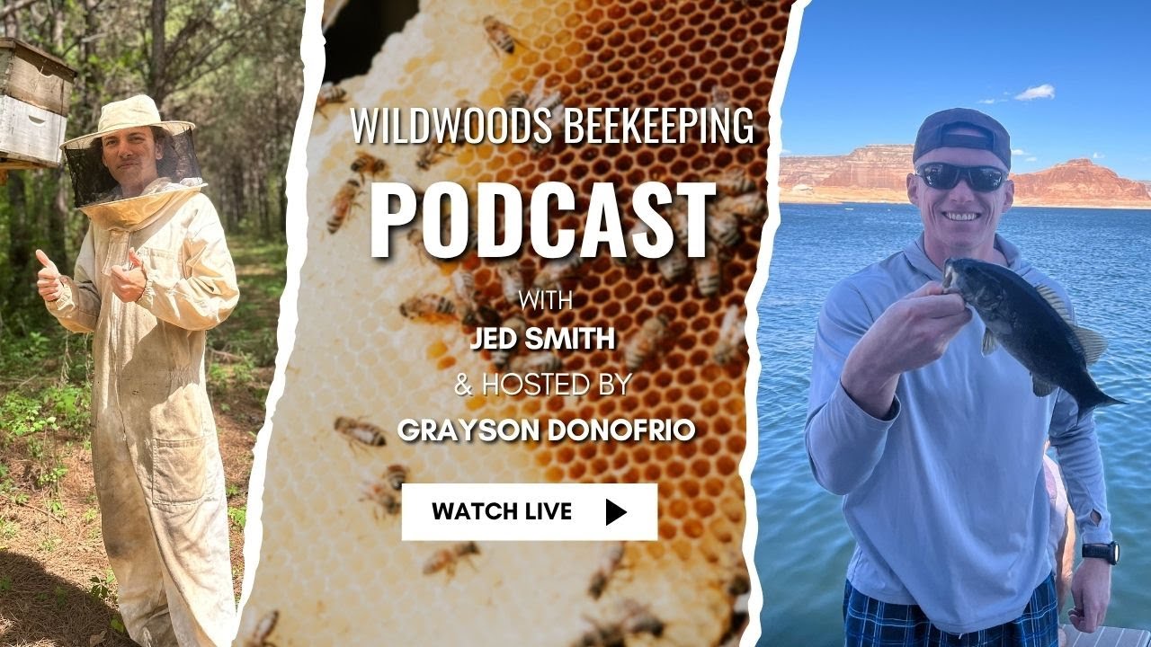 WILDWOODS BEEKEEPING CHAT with JED SMITH - YouTube