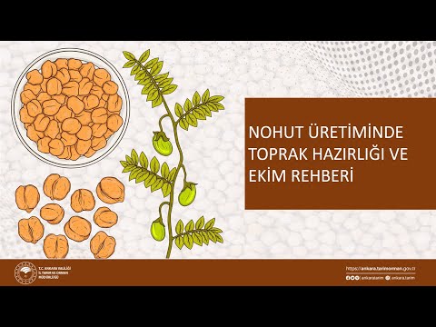 Nohut Üretiminde Toprak Hazırlığı ve Ekim