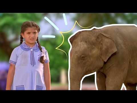 Darpan के school में गया था Ganesh | Bandhan Saari Umar Humein Sang Rehna Hai | Full Ep. 23 | ZEE TV