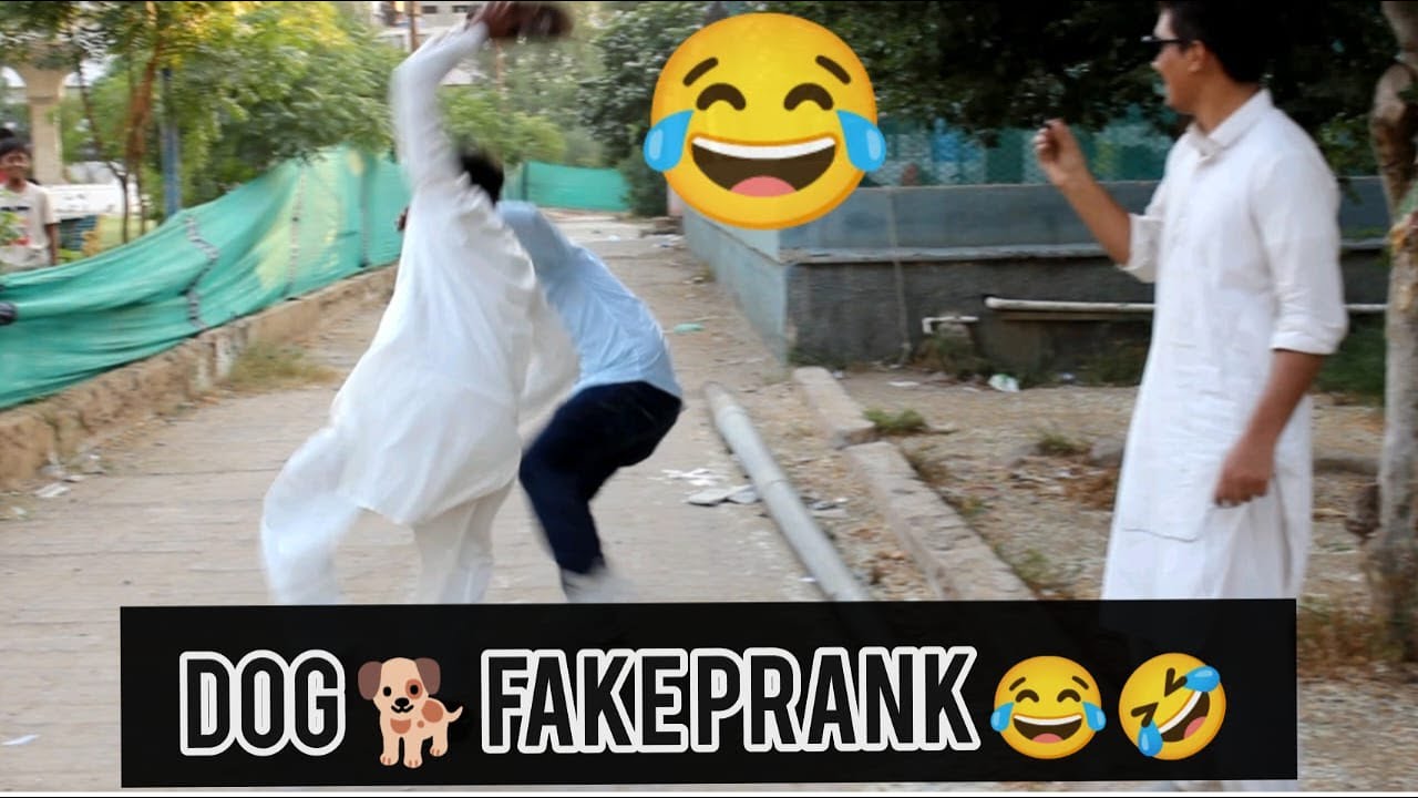 Dog fake prank @THE CRAZY LEGENDS - YouTube