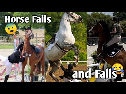HORSE FAILS AND FALLS! (05)