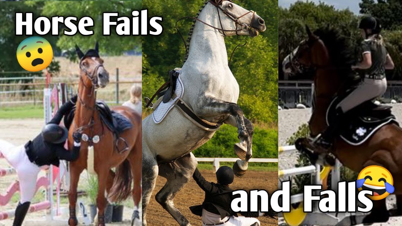 HORSE FAILS AND FALLS! (05) - YouTube