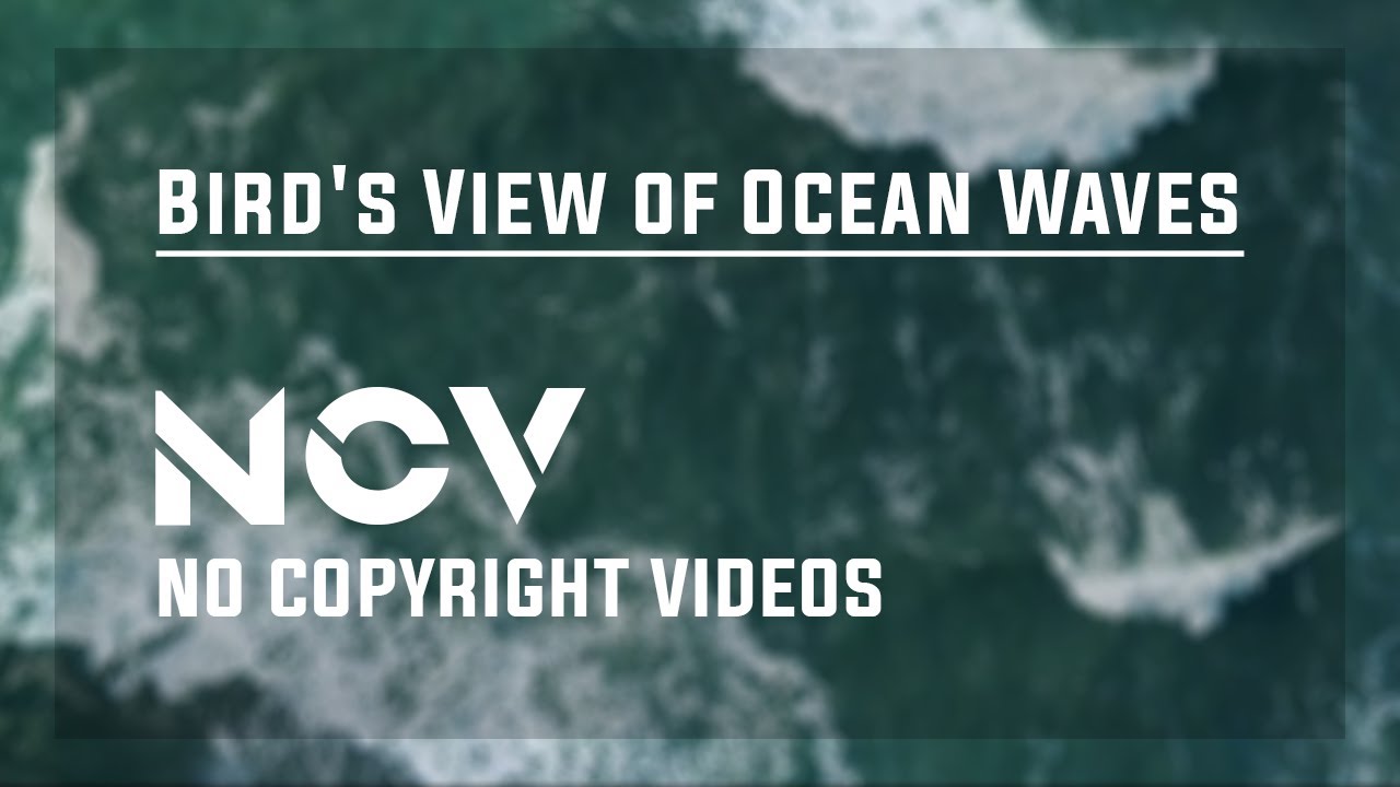 No Copyright Videos - Bird's View of Ocean Waves - YouTube