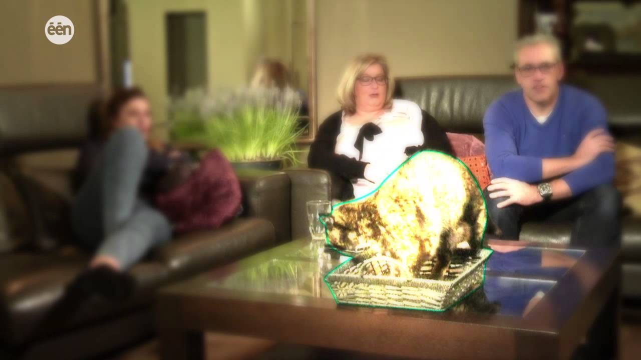 Hallo Televisie! - Teleport Kitty! - YouTube