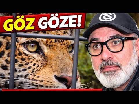  🐆 LEOPARLA GÖZ GÖZE GELDİM! 😱 | Stuttgart Wilhelma 🇩🇪#Wilhelma #Stuttgart  #Leopar  #AlmanyaGezisi 